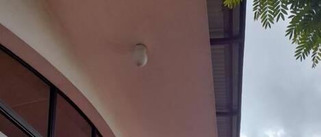 Pormenores do exterior