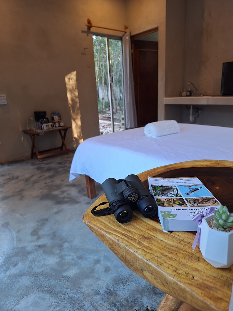 Ecolodge Xocen Birding - Yucatán