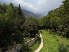 Um jardim exuberante com um caminho de pedra serpenteando por ele, rodeado por árvores densas e uma montanha ao fundo.