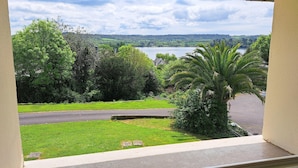 Vista da janela com área gramada, palmeira, estrada e lago ao longe.