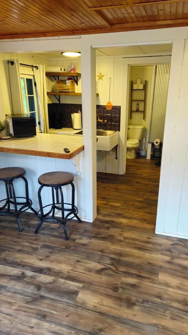 Ponderosa Pines - Deadwood, SD