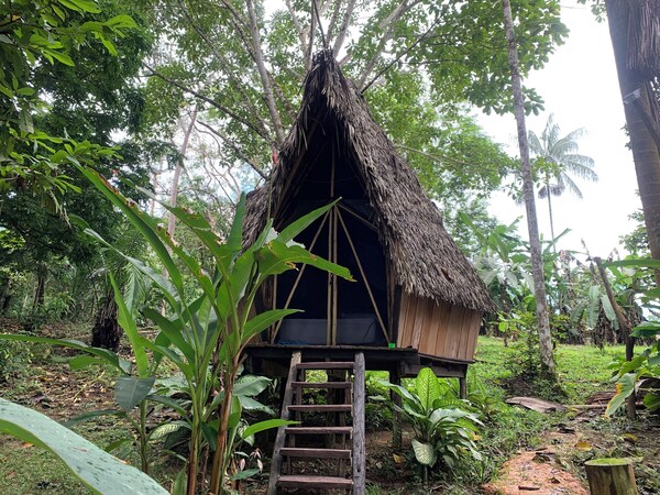 Satori - Amazonas, Colombia