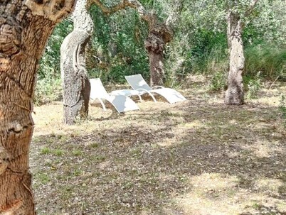 Les Pierres De La Massane