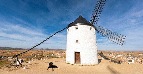 Apartamentos Consuegra - Consuegra