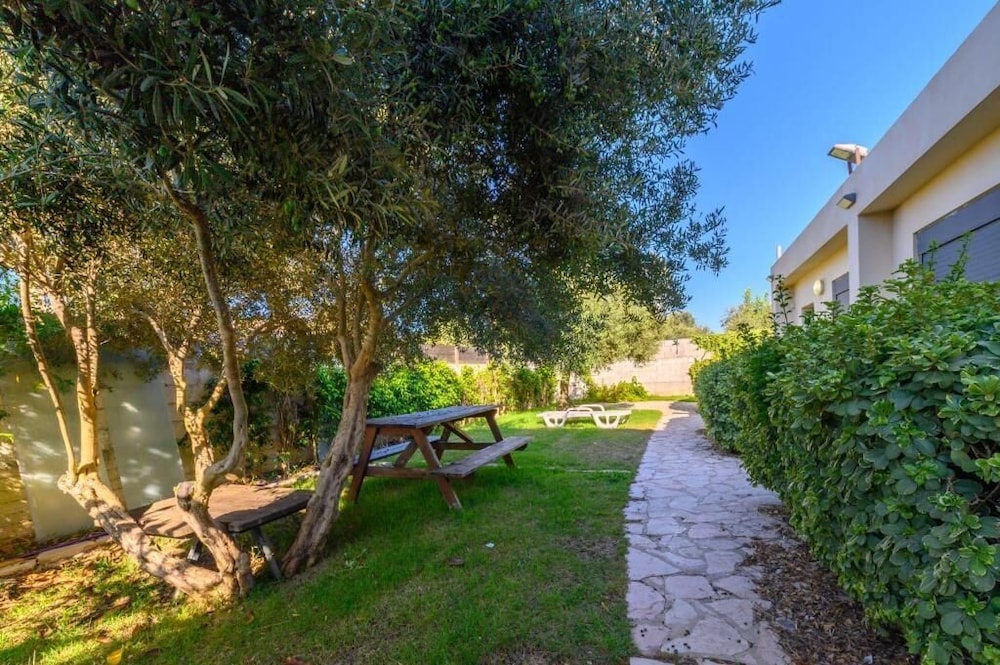 Adi Hacarmel - Israel