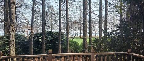 Cabana luxo, vista para o jardim | Terraço/pátio