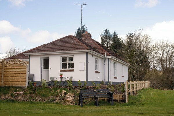 Shirley's House - Omagh