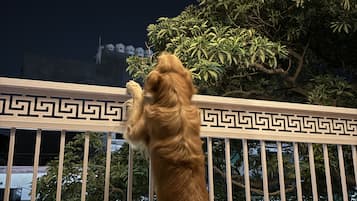 Apartamento superior, aceita animais de estimação, vista para o jardim | Vista do quarto