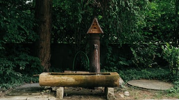 Jardim