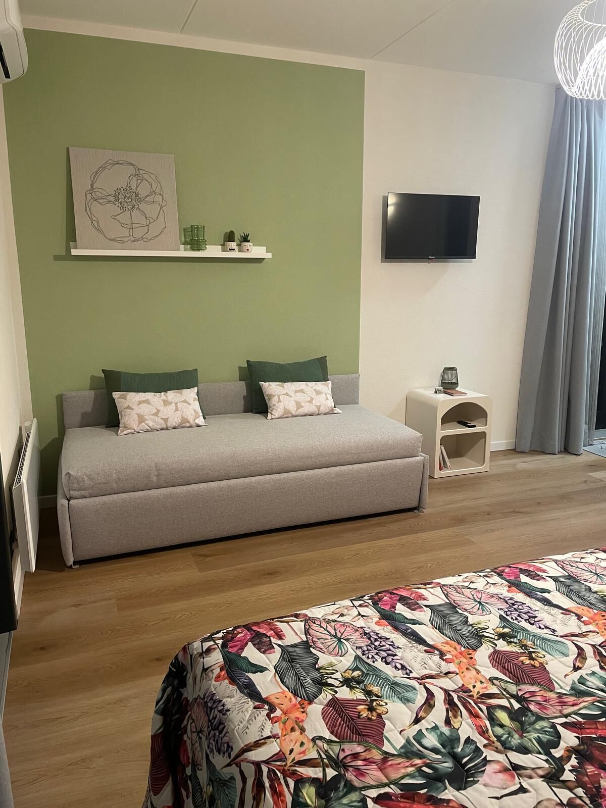 Quarto com sofá-cama, televisão de tela plana, mesa de cabeceira pequena e planta decorativa.