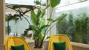 Quarto moderno com duas poltronas amarelas, uma mesa de vidro redonda e uma grande planta em vaso.