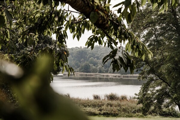 The Reset - Mecklenburg-Vorpommern