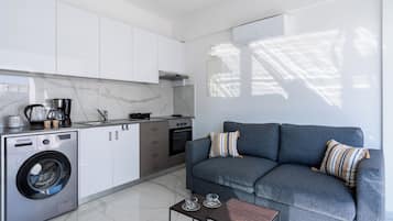 Estúdio, 1 cama de casal e sofá-cama, cozinha, Vista para a cidade | Cozinha privada | Um frigorífico/congelador grande, um micro-ondas, um forno