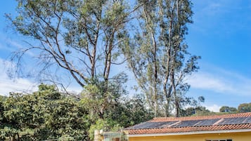 Terraço/pátio interior