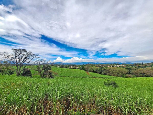 Vista do alojamento