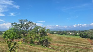 Vista do alojamento