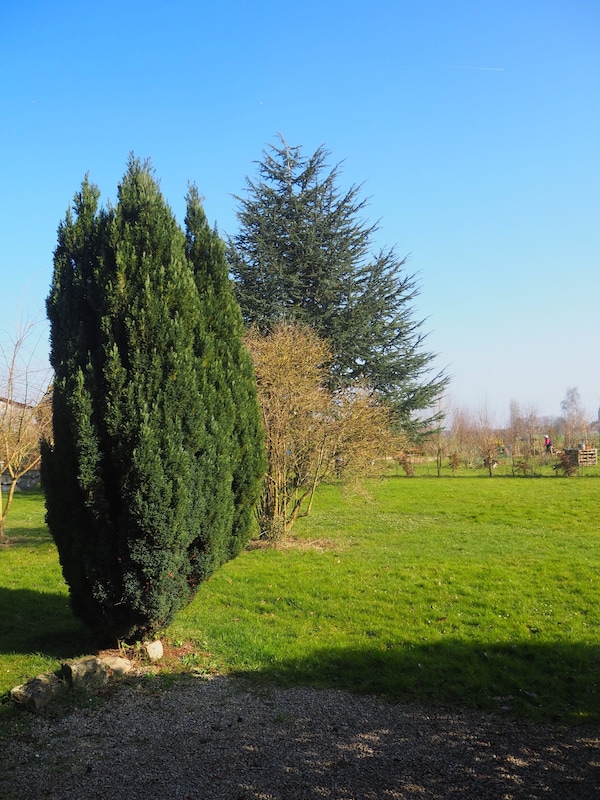 Les Buis - Nord