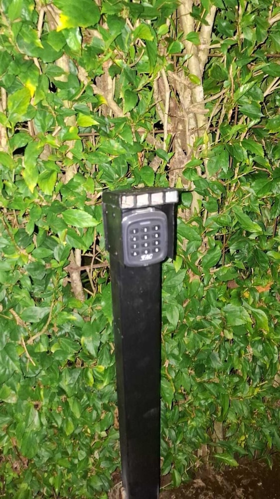 Cabini Taz - Cahuita