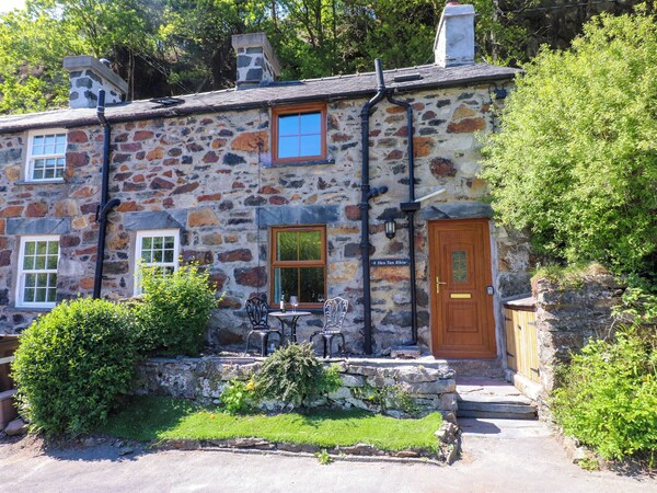 4 Old Tanrhiw - Beddgelert