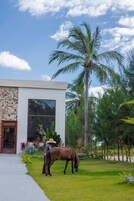 Fachada da propriedade