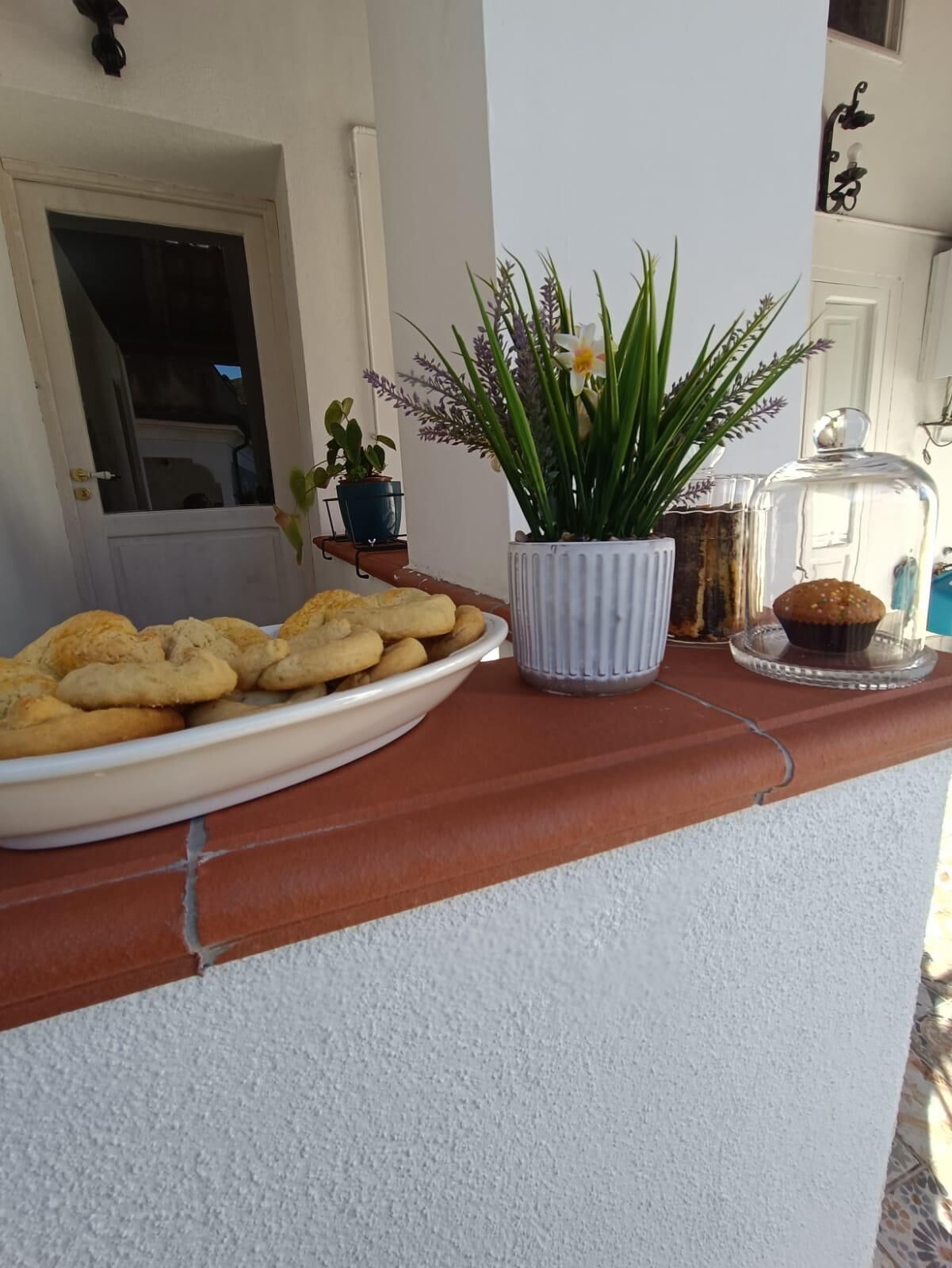 Uma bancada de cozinha com um prato de biscoitos, um vaso de planta e um pote de vidro com tampa.