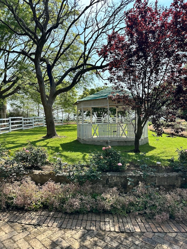 Rose Cottage, Elgin Grabouw - Western Cape
