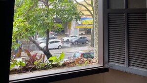 Uma janela com vista para a rua, incluindo carros estacionados e uma árvore.