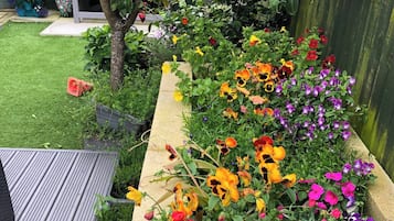 Apartamento, 1 quarto, vista para o jardim | Jardim