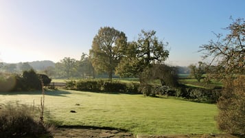 Área da propriedade