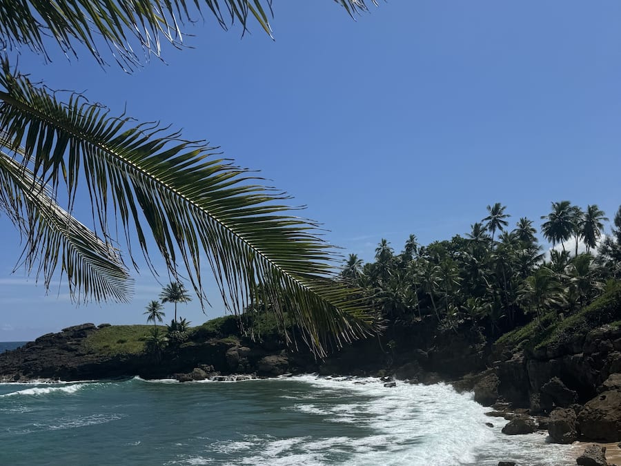 Com decoração personalizada, com mobília individualizada