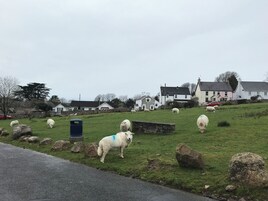 Casa de campo | Área da propriedade
