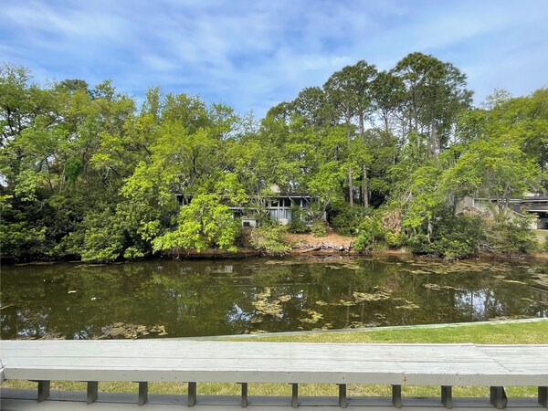 1589 Lagoon Villas At The Sea Pines Resort - Île de Hilton-Head, SC