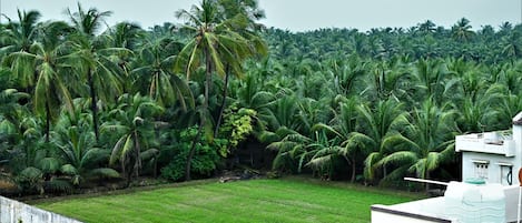 Vista da propriedade