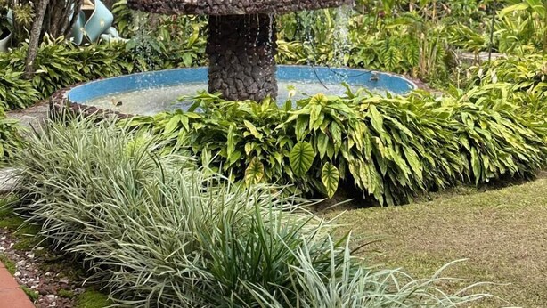 Uma fonte de pedra com vários níveis, rodeada por vegetação exuberante num jardim.