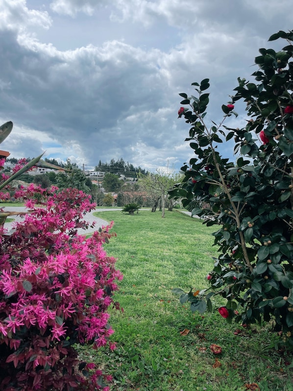 Jardim