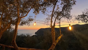 Vista da propriedade