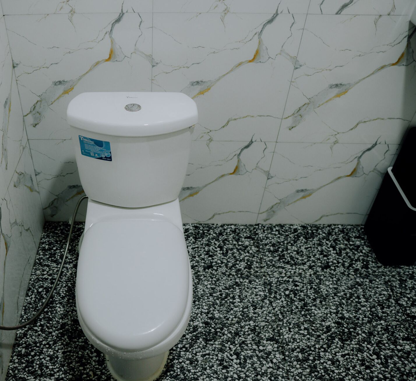 Sanitário com revestimento de parede com padrão marmorizado e piso salpicado.