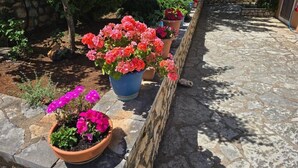 Um caminho de pedra ladeado por vasos com plantas e flores.