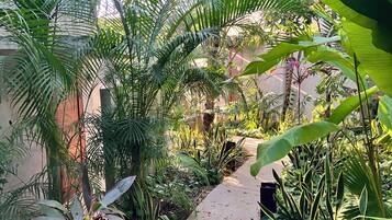 Jardim