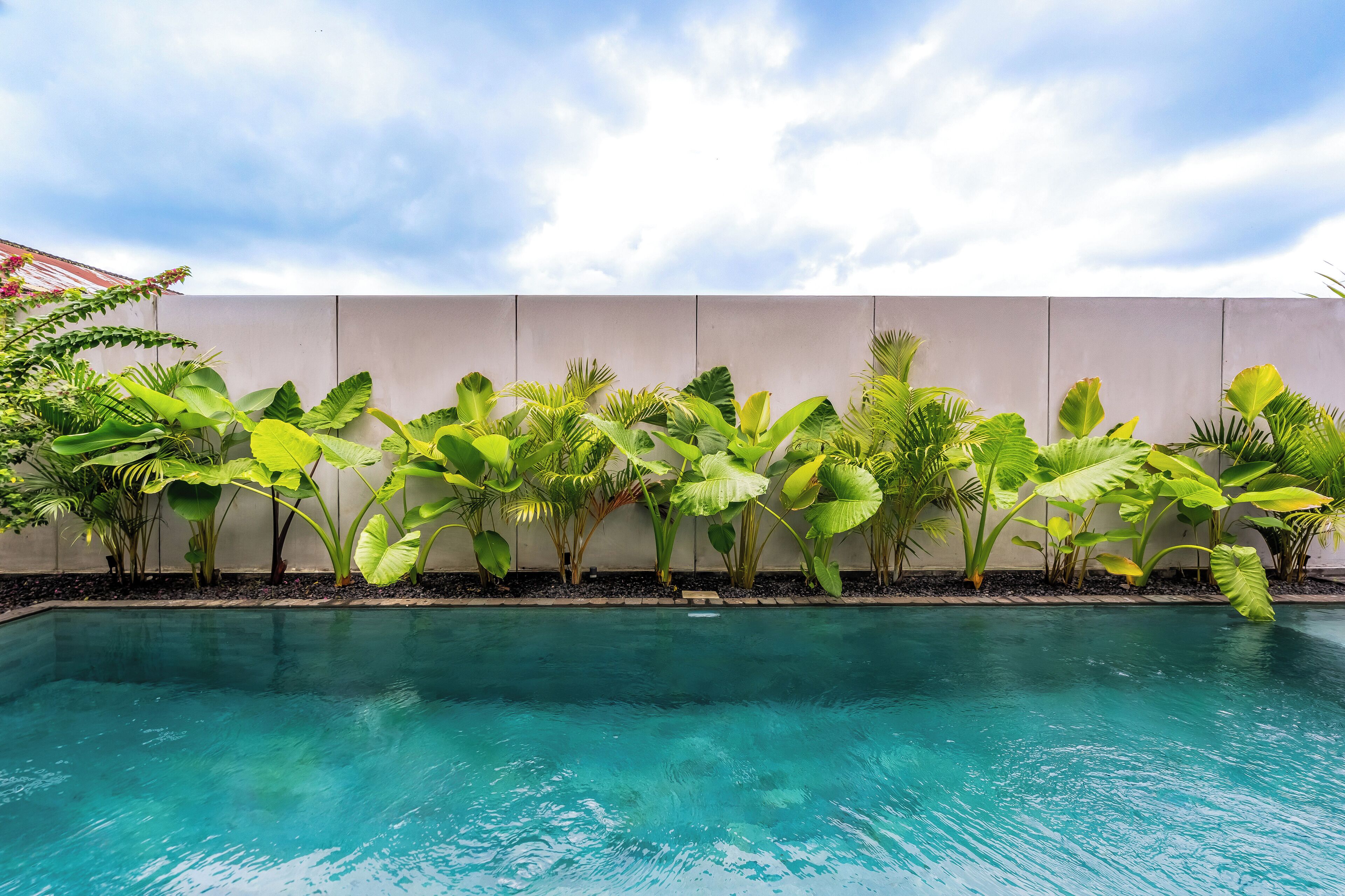 Uma piscina com superfície de água azul cristalina, rodeada por plantas tropicais exuberantes e um muro simples ao fundo.