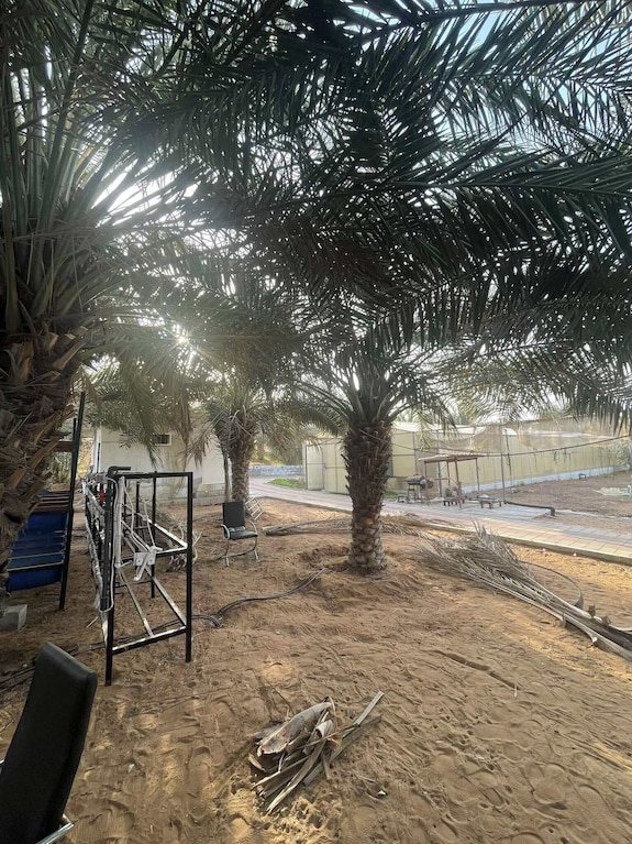 Scenic Farm Tent Stay Nature,animals & Fresh Air - Dubai