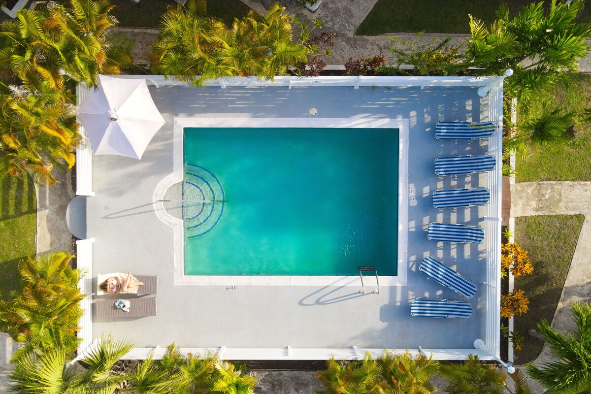 Vista aérea de uma piscina retangular com prancha de mergulho, cercada por palmeiras e espreguiçadeiras.