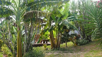 Casa de Campo, vista para o jardim, junto à piscina | Vista do quarto