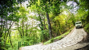 Uma trilha pavimentada em uma área arborizada, com um veículo à direita.
