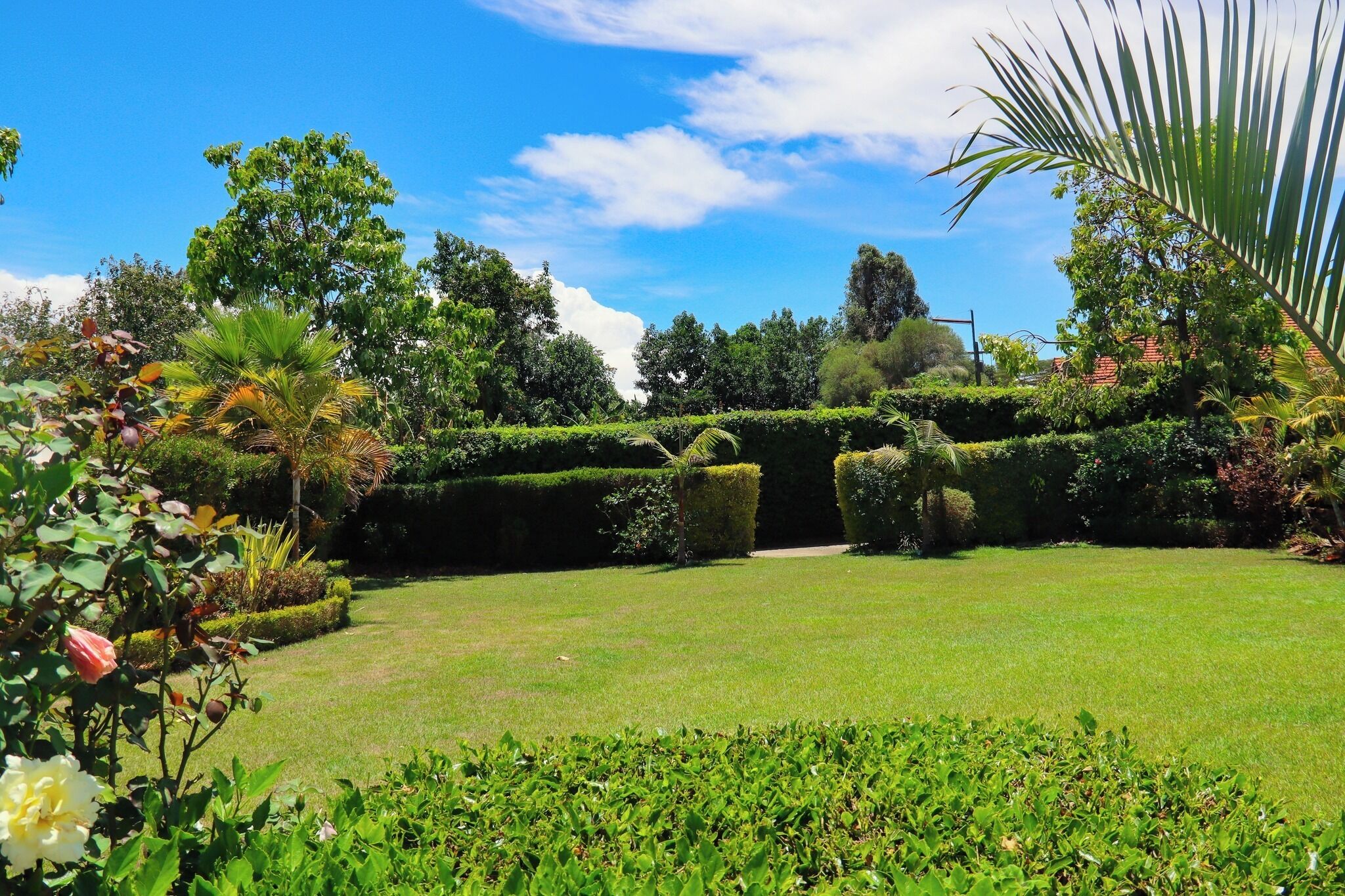 Jardim