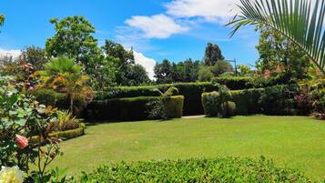 Jardim