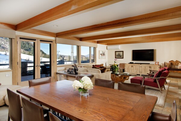 700 Ute Apartment #703 4 Bedroom Home - Aspen, CO