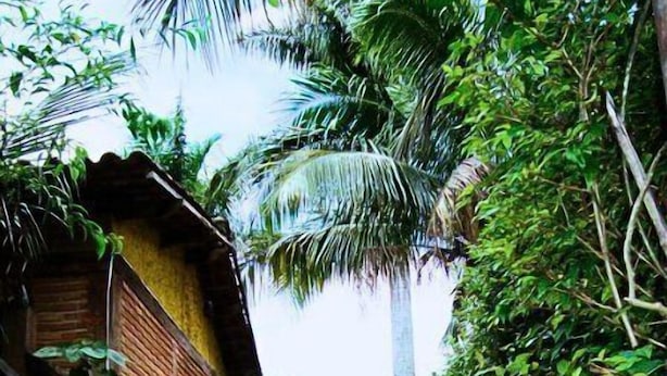 Chalé, 1 quarto, não fumadores, junto ao jardim | Terrenos do alojamento