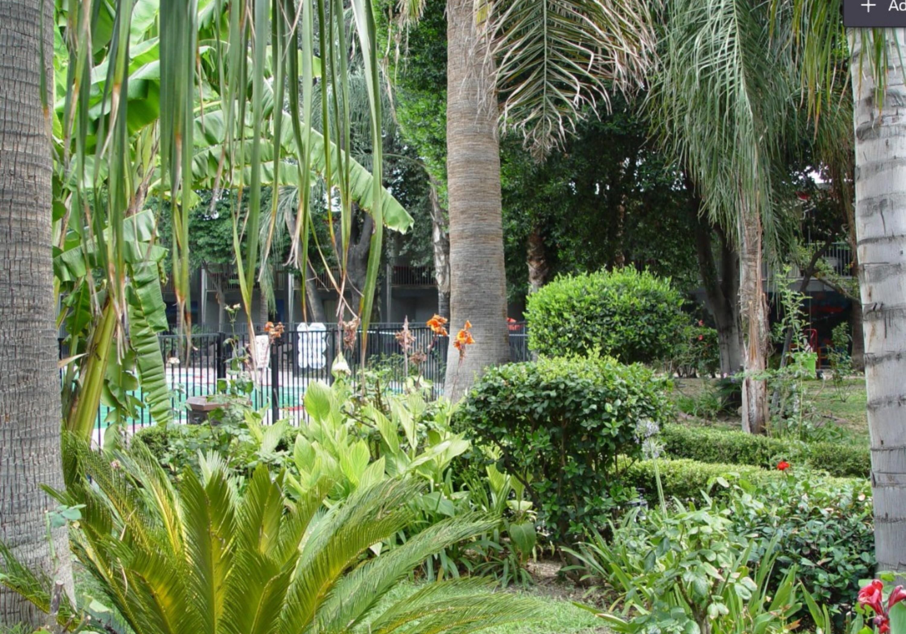 Comodidade do alojamento