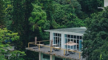 Um edifício moderno com fachada de vidro, cercado por vegetação densa.
